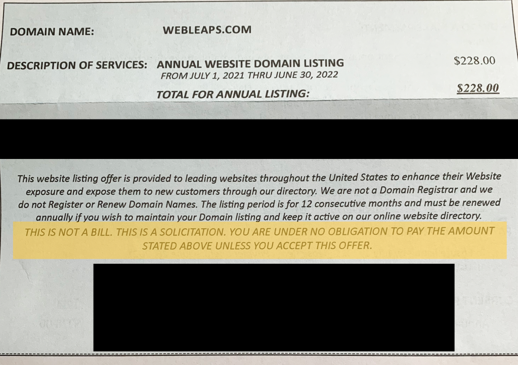 WebLeaps » Domain Name Scam